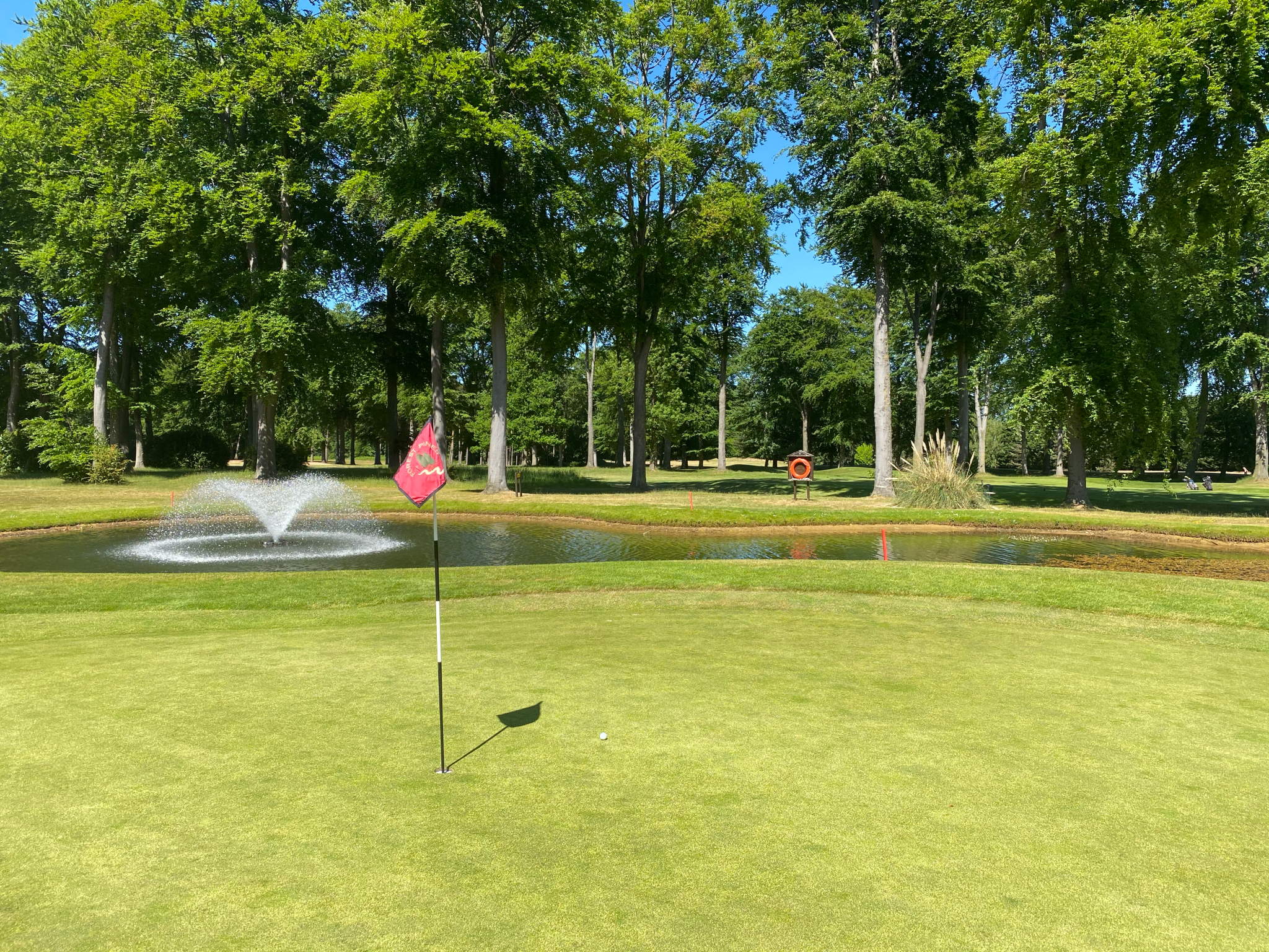 Courses | Welcome to Forest Pines Golf Club