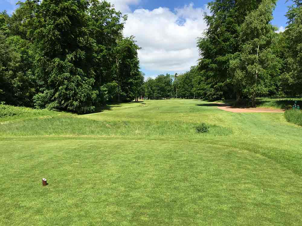 Courses | Welcome to Forest Pines Golf Club