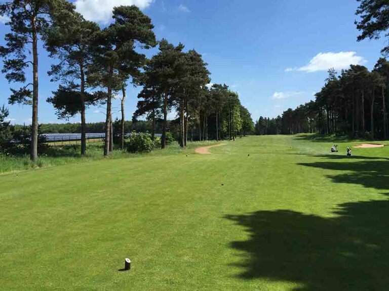 Courses | Welcome to Forest Pines Golf Club